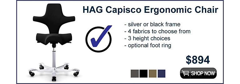 HAG Capisco Ergonomic Chair